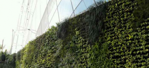 Green Wall | Green Wall Module System | Clip On Solution