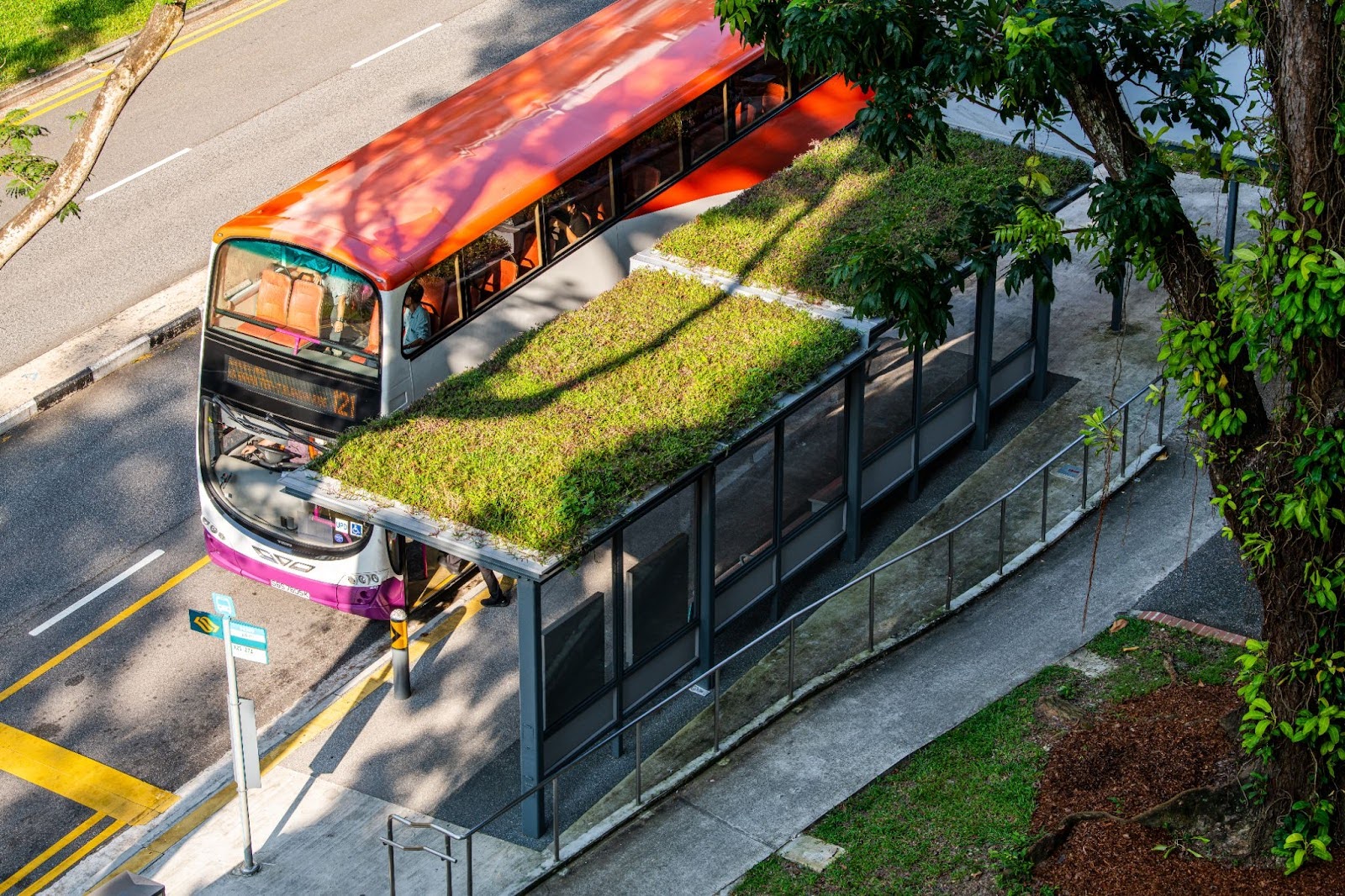 How Green Structures Help Us Deal With Extreme Weather